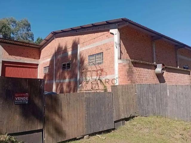 Sítio / Chácara para Venda em Gramado/RS Linha Ávila