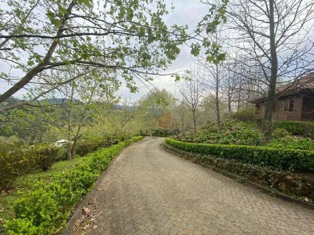 Sítio / Chácara para Venda em Gramado/RS Linha Bonita