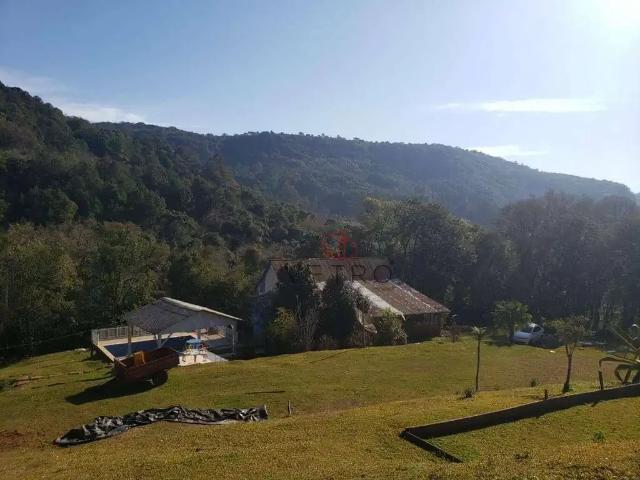 Sítio / Chácara para Venda em Gramado/RS Linha Furna 4 Quartos