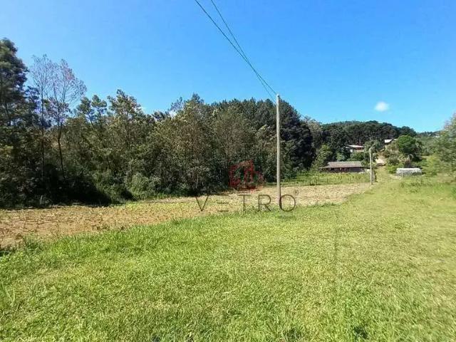 Sítio / Chácara para Venda em Gramado/RS Linha Tapera 9 Quartos