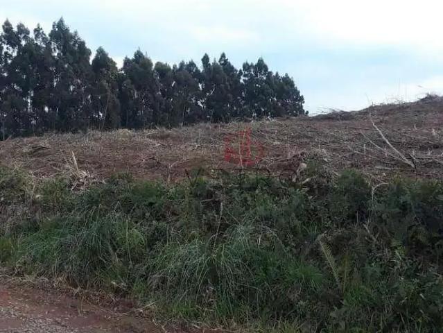 Sítio / Chácara para Venda em Gramado/RS Serra Grande