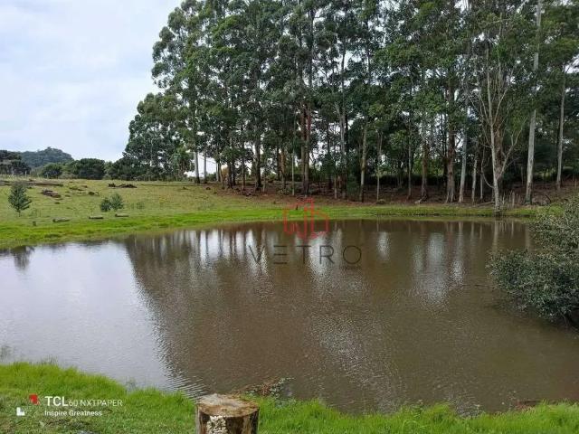 Sítio / Chácara para Venda em Gramado/RS Serra Grande