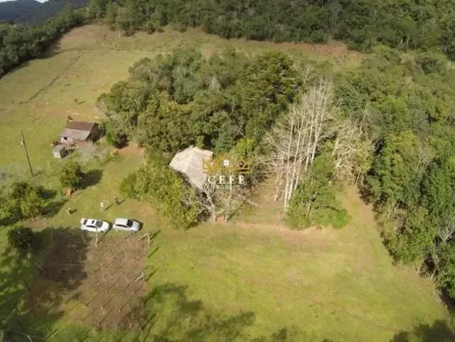 Sítio / Chácara para Venda em Gramado/RS Zona Rural