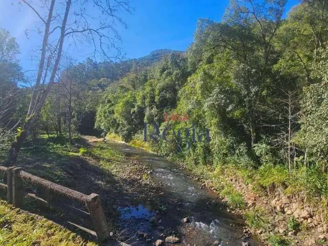 Sítio / Chácara para Venda em Gramado/RS Zona Rural 9 Quartos