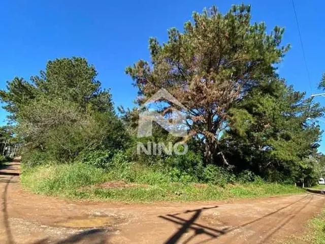 Sítio / Chácara para Venda em Gravataí/RS Loteamento Rural Palermo