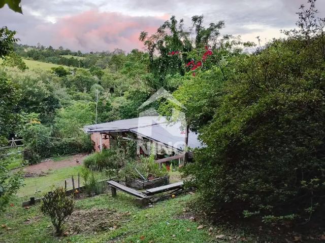 Sítio / Chácara para Venda em Gravataí/RS Morungava Distrito 4 Quartos