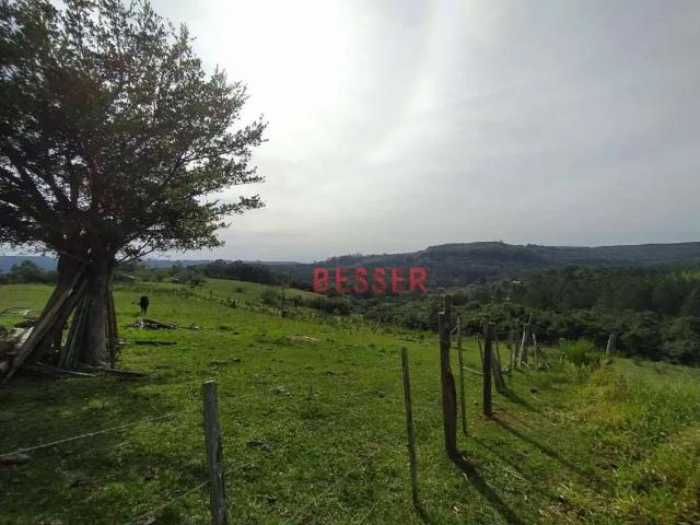 Sítio / Chácara para Venda em Gravataí/RS Morungava Distrito