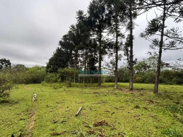 Sítio / Chácara para Venda em Gravataí/RS Neópolis 3 Quartos