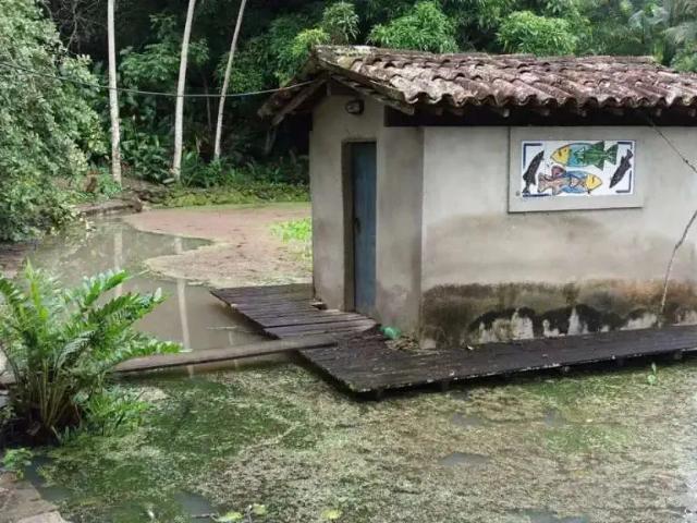 Sítio / Chácara para Venda em Gravatá/PE Novo Gravatá 3 Quartos