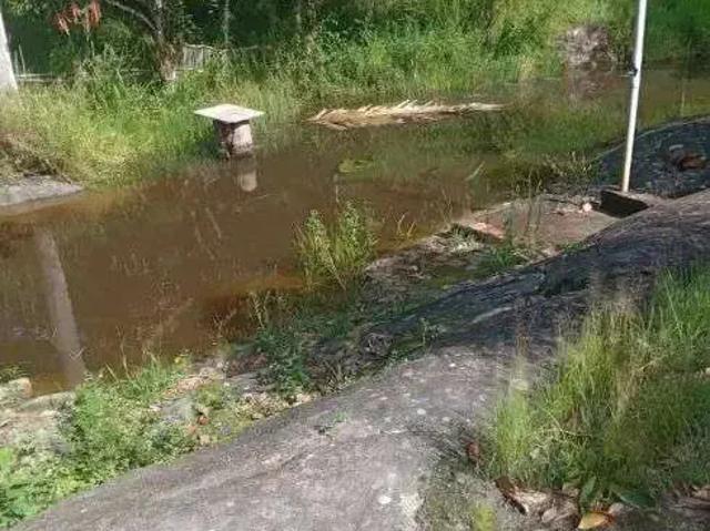 Sítio / Chácara para Venda em Gravatá/PE Boa Vista