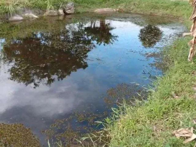 Sítio / Chácara para Venda em Gravatá/PE Gravatá Centro 2 Quartos