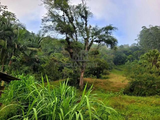 Sítio / Chácara para Venda em Guabiruba/SC Guabiruba Sul