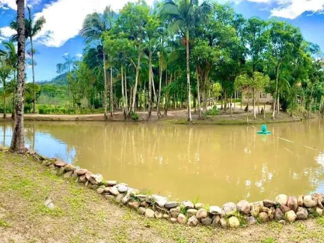 Sítio / Chácara para Venda em Guabiruba/SC Lageado Baixo 3 Quartos