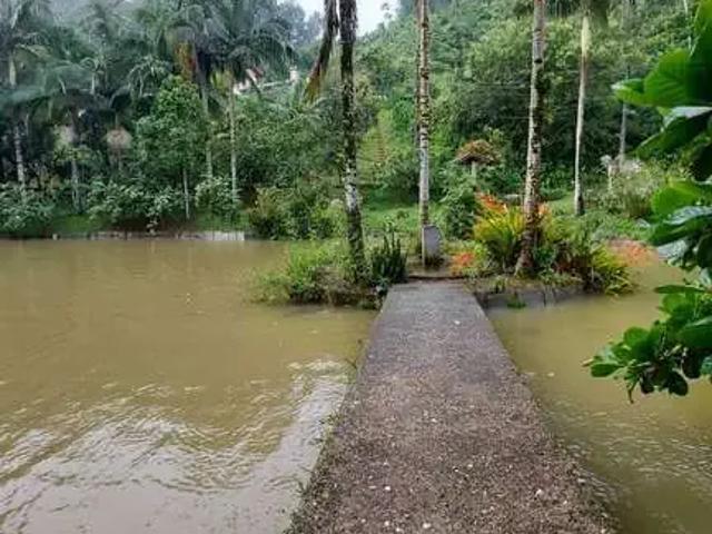 Sítio / Chácara para Venda em Guabiruba/SC São Pedro 4 Quartos