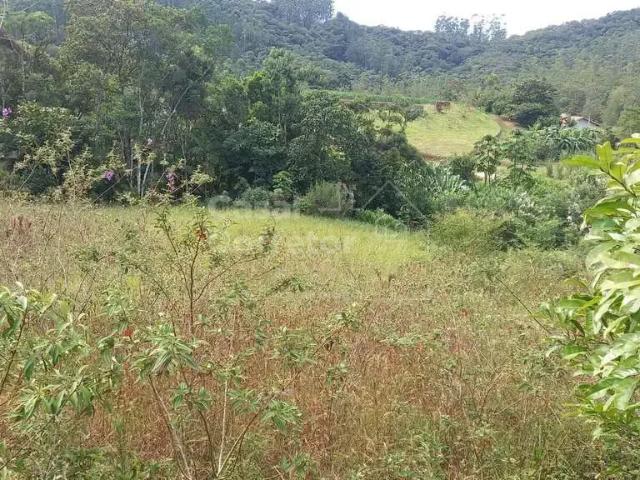 Sítio / Chácara para Venda em Guabiruba/SC Planície Alta