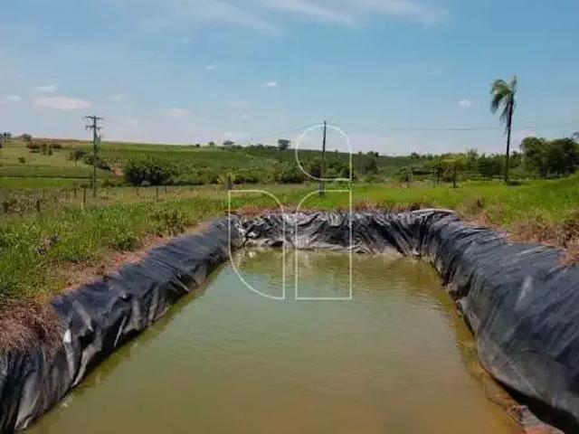Sítio / Chácara para Venda em Guaimbê/SP Zona Rural