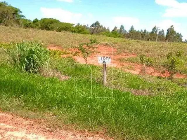 Sítio / Chácara para Venda em Guaimbê/SP Zona Rural