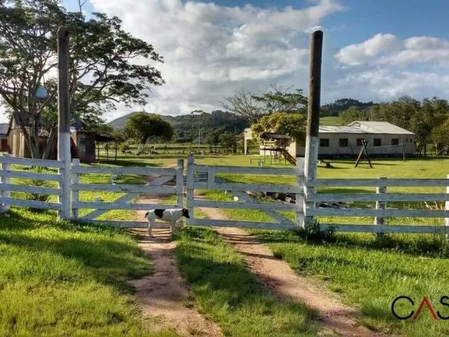 Sítio / Chácara para Venda em Guaíba/RS Passo Fundo 5 Quartos