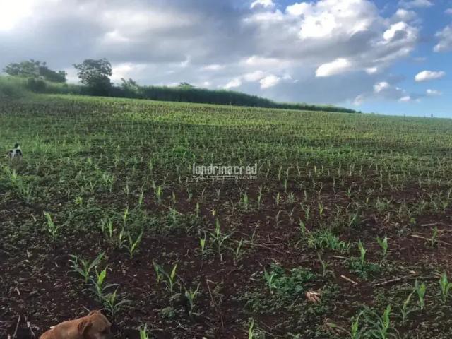 Sítio / Chácara para Venda em Guairaçá/PR Zona Rural