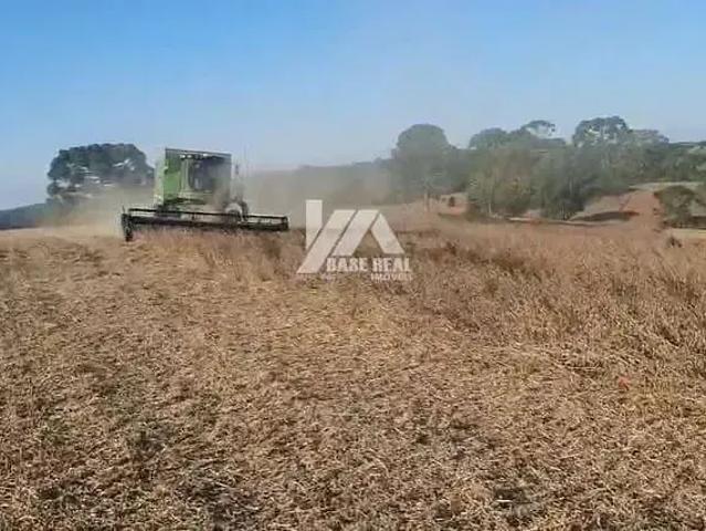 Sítio / Chácara para Venda em Guairaçá/PR Centro