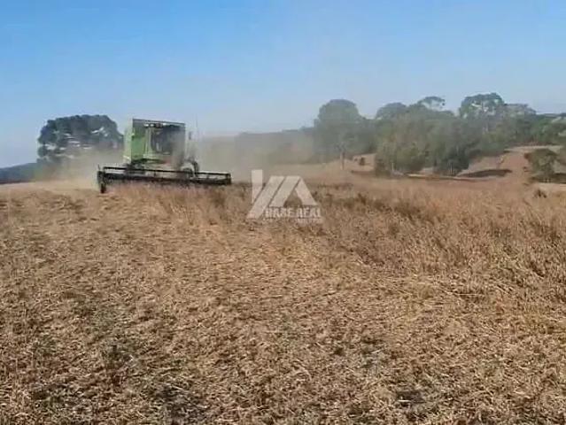 Sítio / Chácara para Venda em Guairaçá/PR Centro