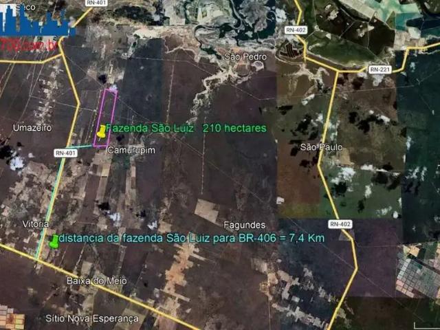 Sítio / Chácara para Venda em Guamaré/RN Zona Rural