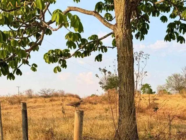 Sítio / Chácara para Venda em Guapó/GO Zona Rural