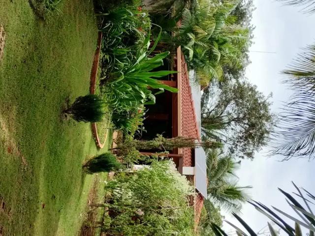 Sítio / Chácara para Venda em Guapiaçu/SP Zona Rural 4 Quartos