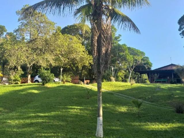 Sítio / Chácara para Venda em Guapimirim/RJ Citrolândia 2 Quartos