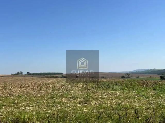 Sítio / Chácara para Venda em Guapirama/PR Centro 1 Quartos