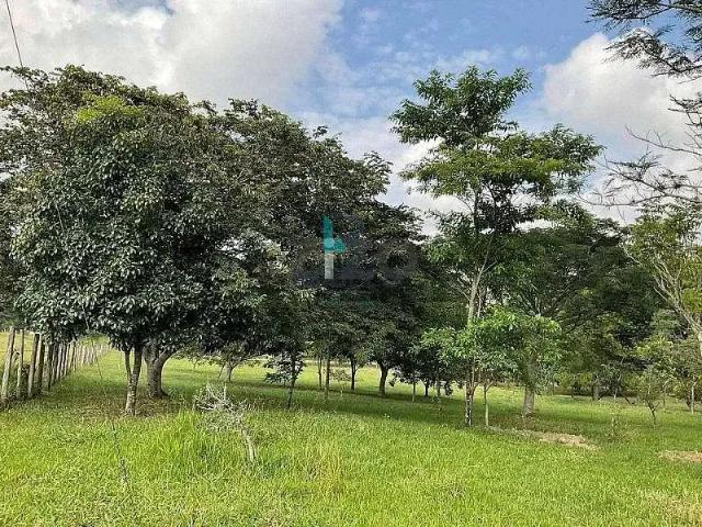 Sítio / Chácara para Venda em Guaratinguetá/SP Belveder Clube dos 500