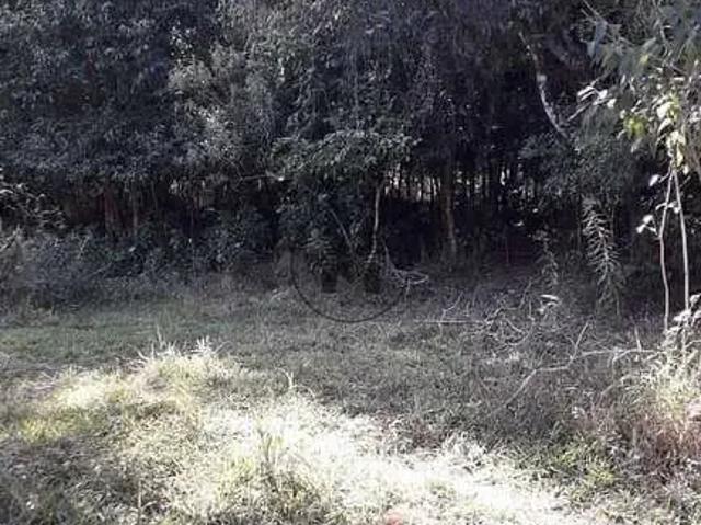 Sítio / Chácara para Venda em Guaratinguetá/SP Bom Jardim I