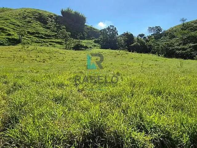 Sítio / Chácara para Venda em Guaratinguetá/SP Centro