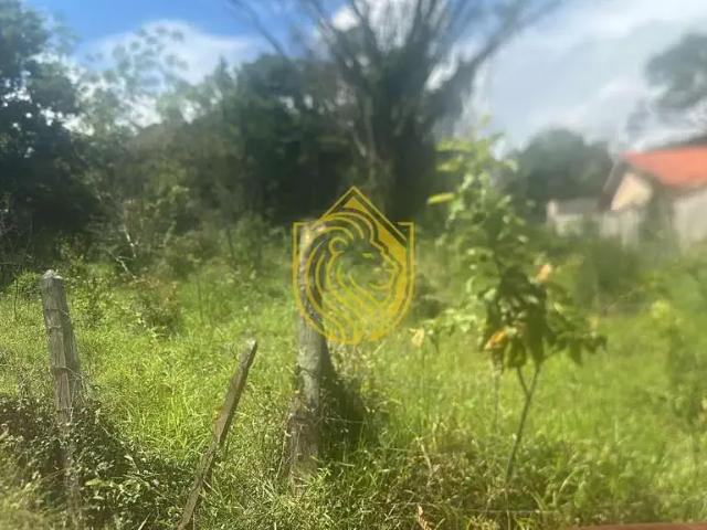 Sítio / Chácara para Venda em Guaratinguetá/SP Pingo de Ouro