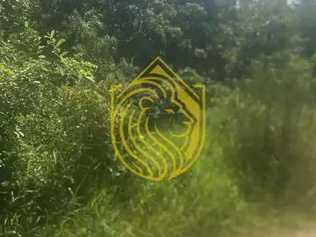 Sítio / Chácara para Venda em Guaratinguetá/SP Pingo de Ouro