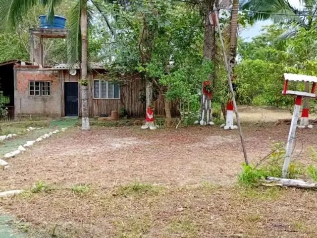 Sítio / Chácara para Venda em Guaratuba/PR Zona Rural 2 Quartos