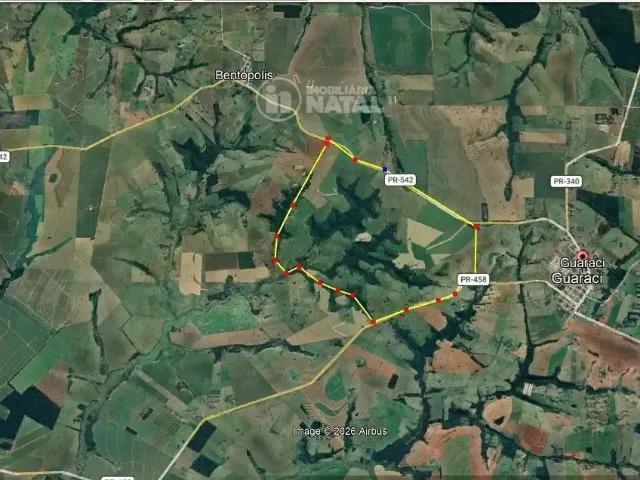 Sítio / Chácara para Venda em Guaraci/PR Zona Rural