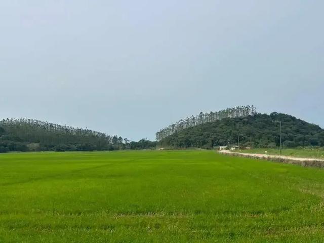 Sítio / Chácara para Venda em Guaramirim/SC Corticeira
