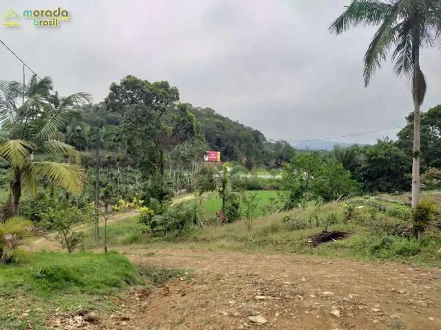 Sítio / Chácara para Venda em Guaramirim/SC Ilha da Figueira