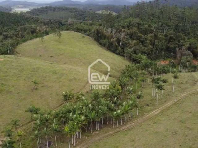 Sítio / Chácara para Venda em Guaramirim/SC Zona Rural 1 Quartos