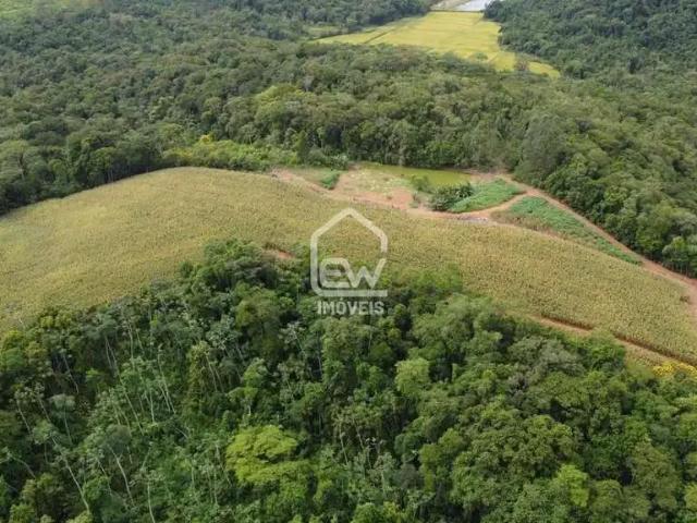 Sítio / Chácara para Venda em Guaramirim/SC Zona Rural 1 Quartos