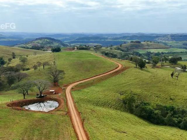 Sítio / Chácara para Venda em Guaraniaçu/PR Zona Rural