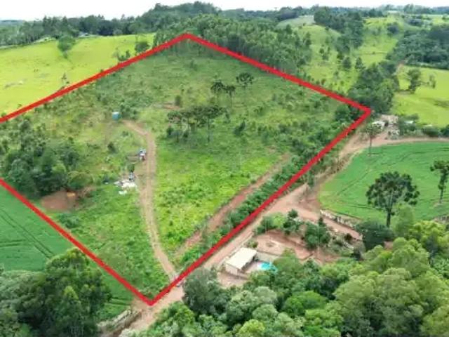 Sítio / Chácara para Venda em Guaraniaçu/PR Zona Rural