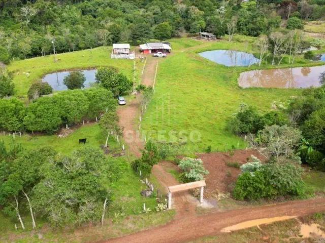 Sítio / Chácara para Venda em Guaraniaçu/PR Área Rural de Guaraniaçu