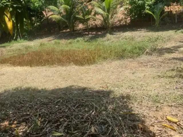 Sítio / Chácara para Venda em Guarapari/ES Comunidade Urbana de Amarelos 2 Quartos