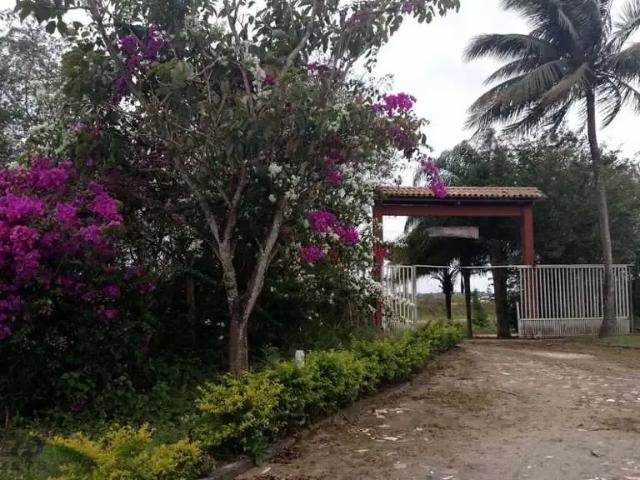 Sítio / Chácara para Venda em Guarapari/ES Condados 1 Quartos