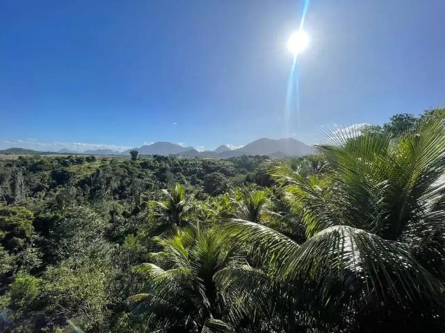 Sítio / Chácara para Venda em Guarapari/ES Jardim Santa Rosa 4 Quartos