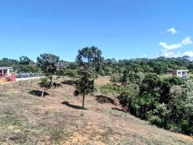 Sítio / Chácara para Venda em Guarapari/ES Lameirão