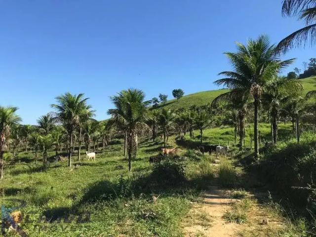 Sítio / Chácara para Venda em Guarapari/ES Pau D'Oleo 2 Quartos