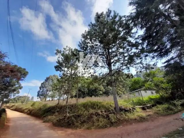 Sítio / Chácara para Venda em Guarapuava/PR Morro Alto